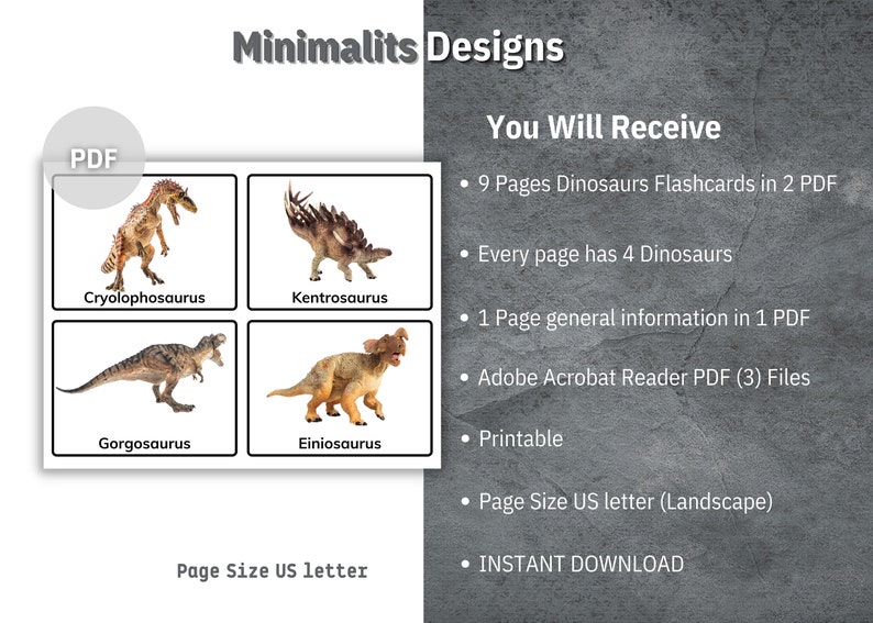 Dinosaurs Flash Cards, Montessori Flash Cards, Printable Cards ...