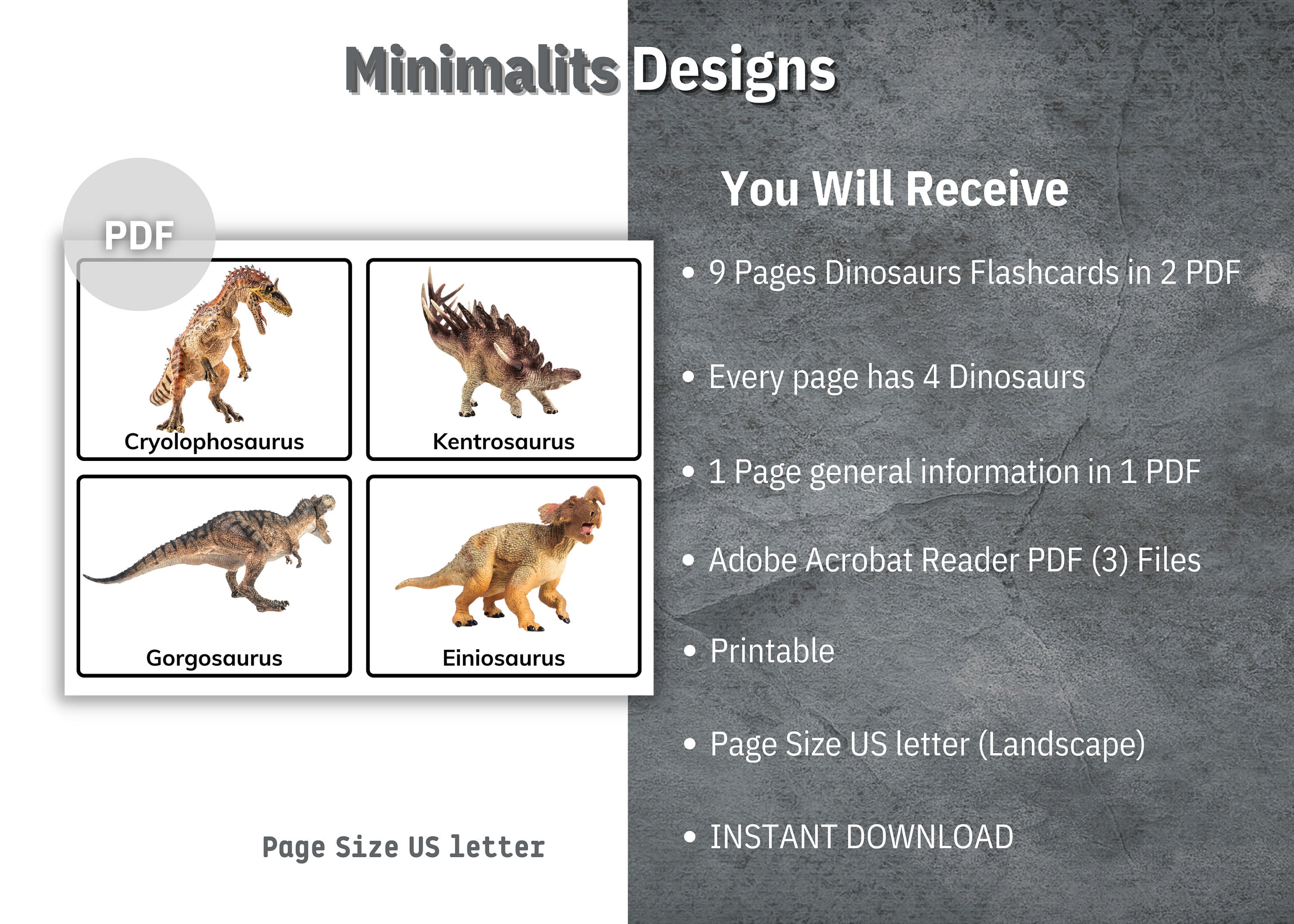 Dinosaurs Flash Cards, Montessori Flash Cards, Printable Cards ...