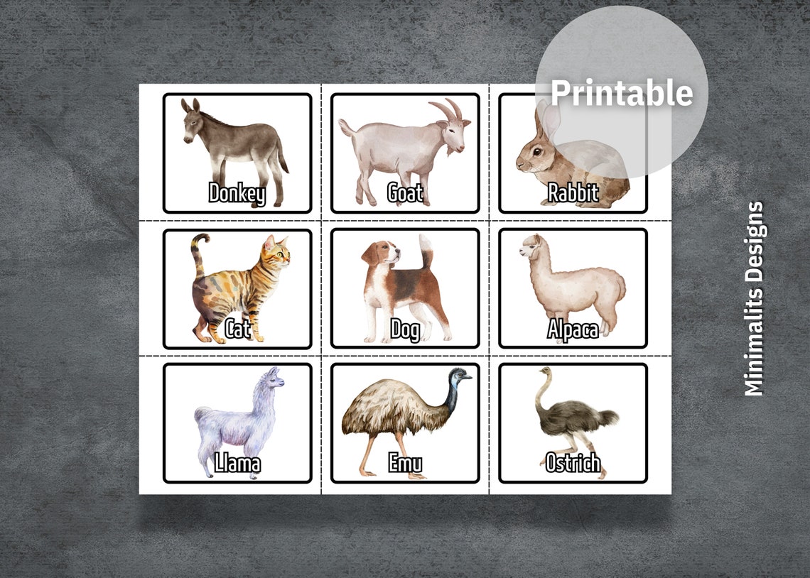Farm Animals Flashcards, Preschool Flashcards, Printable Montessori ...