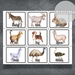 Farm Animals Flashcards, Preschool Flashcards, Printable Montessori ...