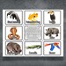 Jungle Animals Flashcards, Preschool Flashcards, Printable Montessori ...