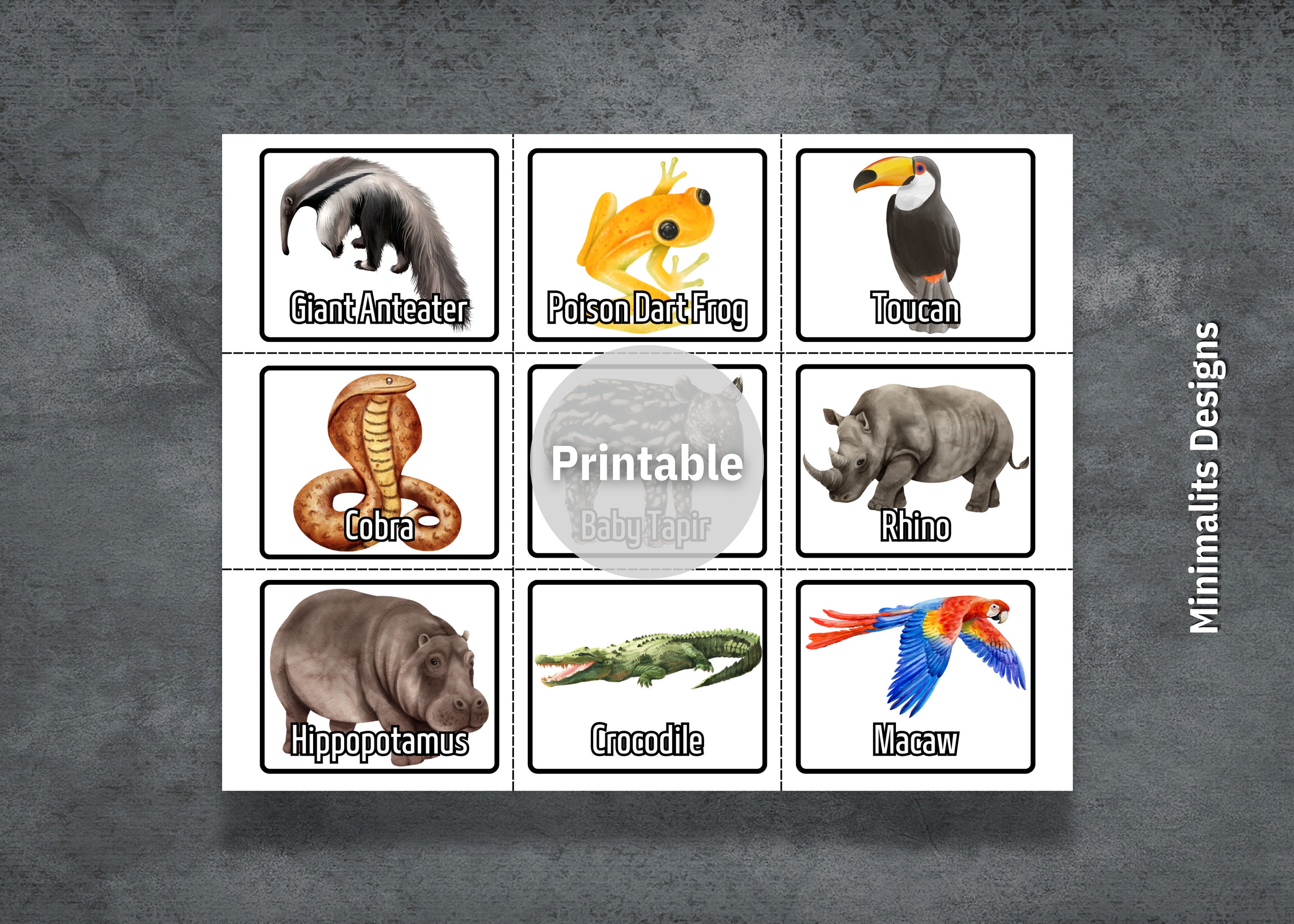 Jungle Animals Flashcards, Preschool Flashcards, Printable Montessori ...