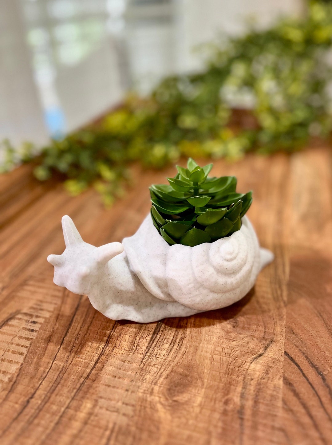 Snail Succulent Planter | Flower Pot | Housewarming Gift - Etsy