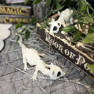 Articulating Bone Rat - Etsy