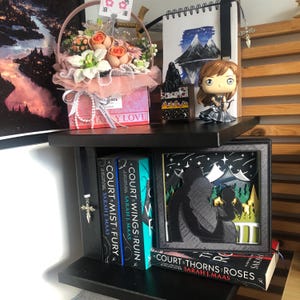 Feysandnyx Light Box ACOTAR Night Court Velaris Sarah J Maas Feyre ...