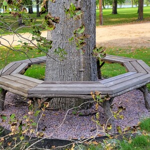 Wrap Around Tree Bench Handmade Wooden Garden Furniture. Free Shipping ...