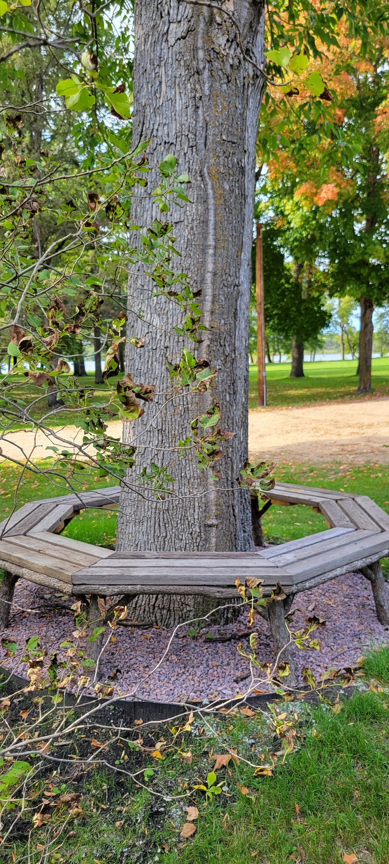 Wrap Around Tree Bench Handmade Wooden Garden Furniture. Free Shipping ...