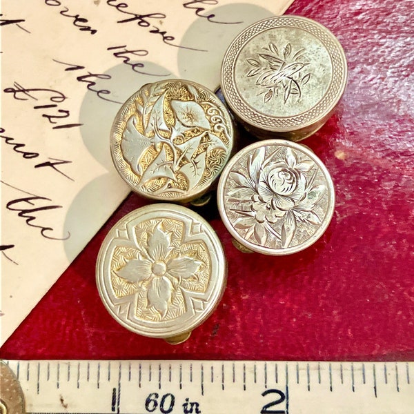 Bachelor Buttons - Etsy