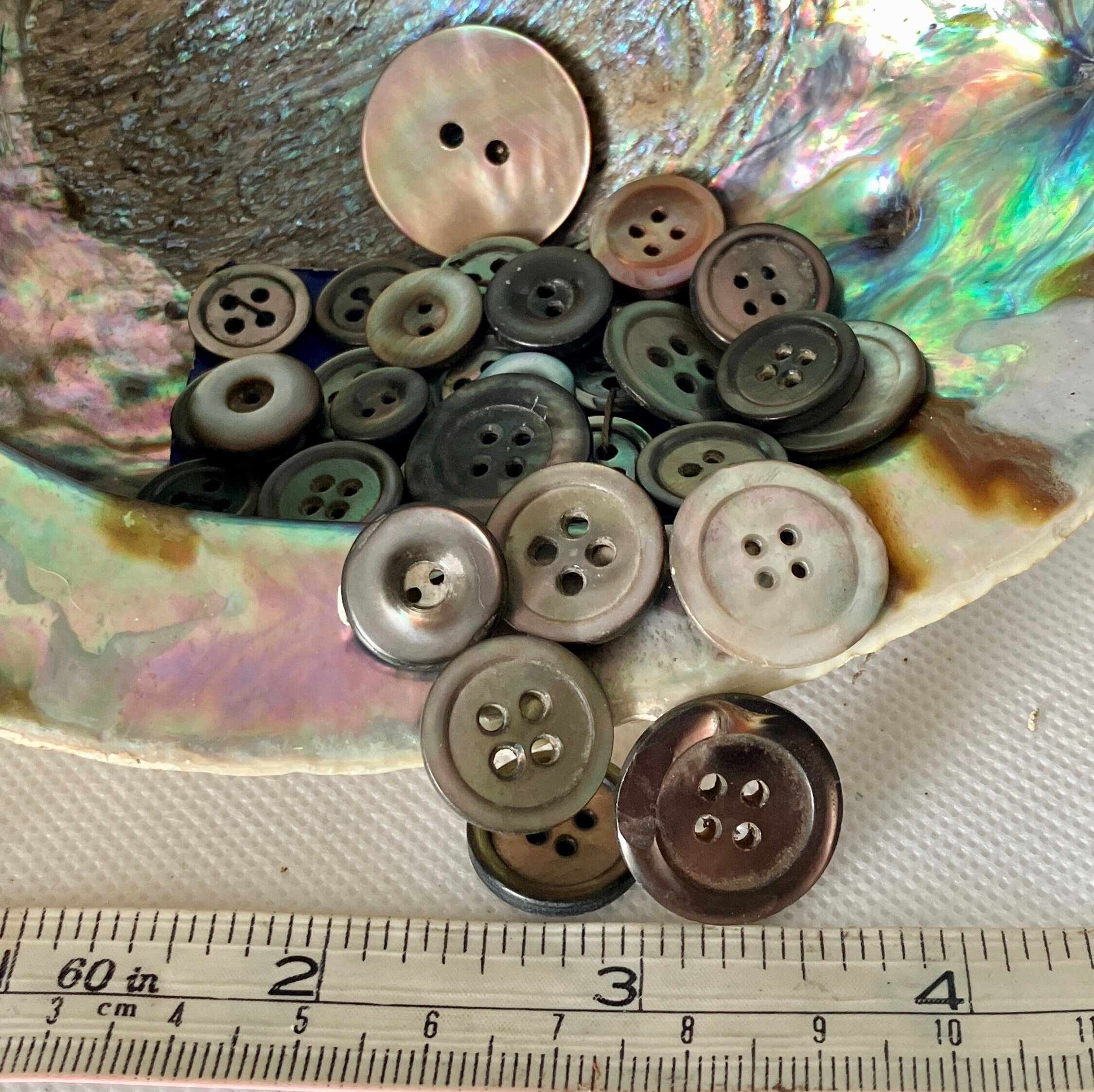Vintage Abalone Buttons Pāua Buttons Shell Buttons - Etsy