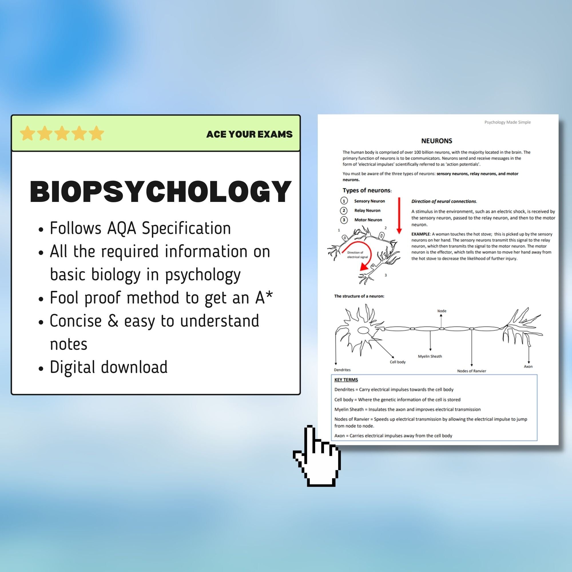 AQA A-level Biopsychology Revision Notes | Psychology Tutor (digital ...