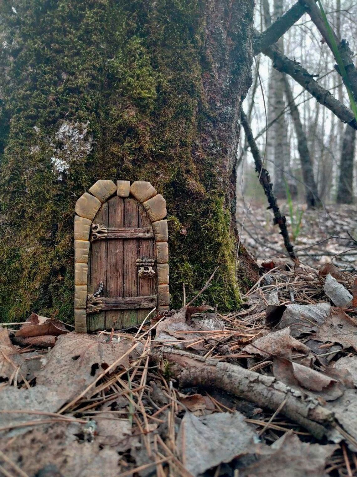 Rustic Fairy Door Mystical Fairy Door Miniature Door Fairy Garden Decor ...