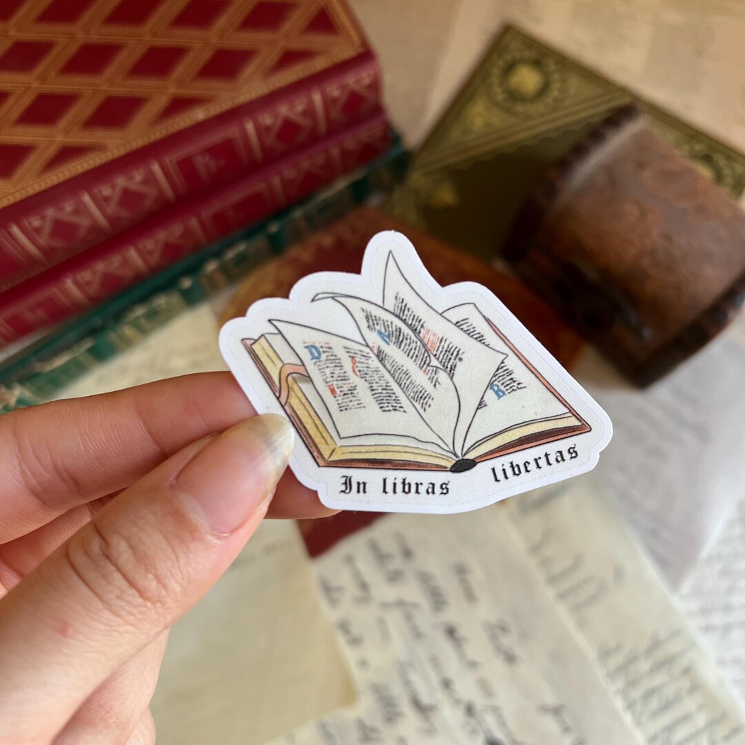 Medieval Book Sticker, Medieval Sticker, Castlecore Sticker, Sticker ...