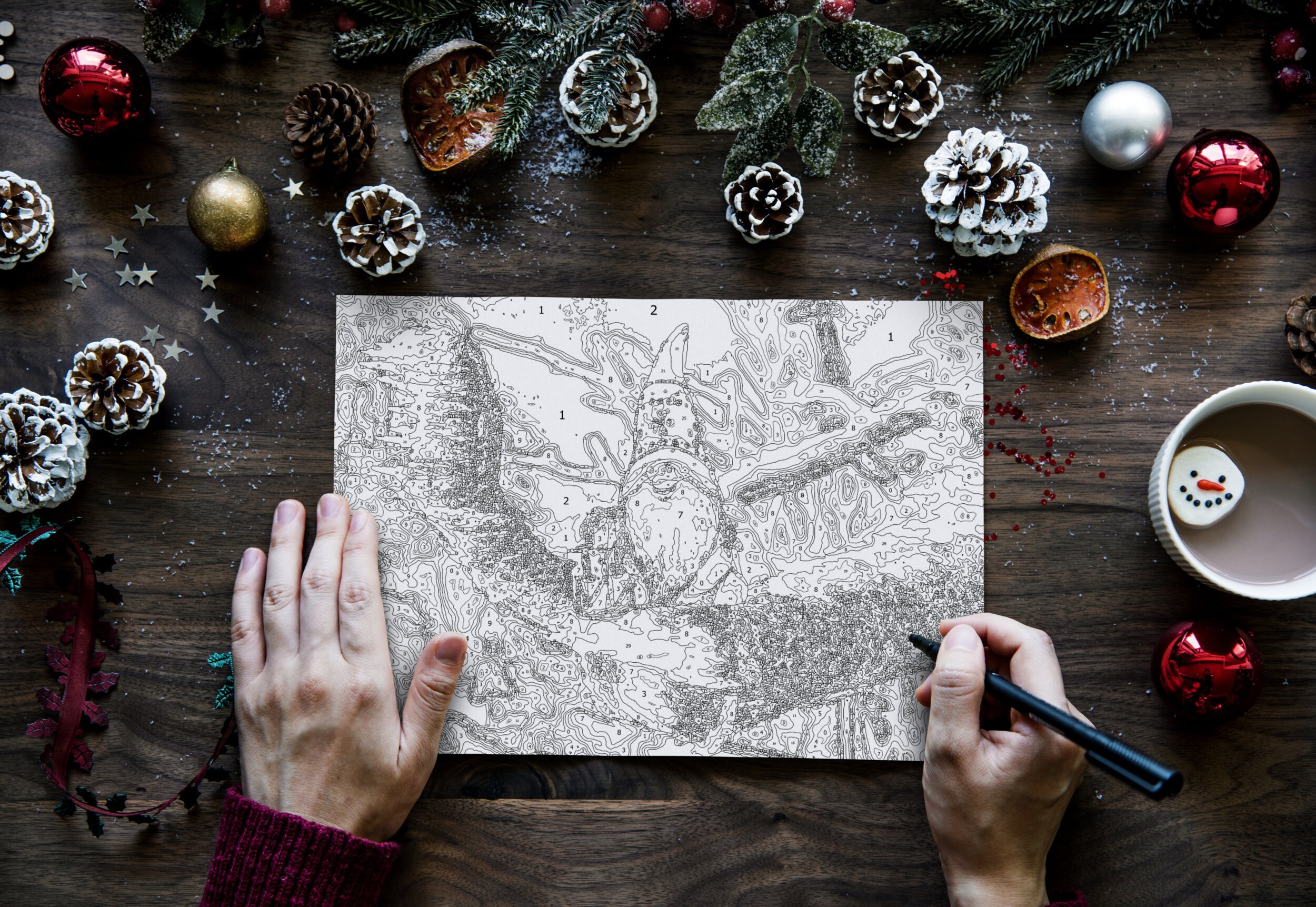 Paint by Numbers for Krita, Photoshop, Corel Painter - Santa on the ...