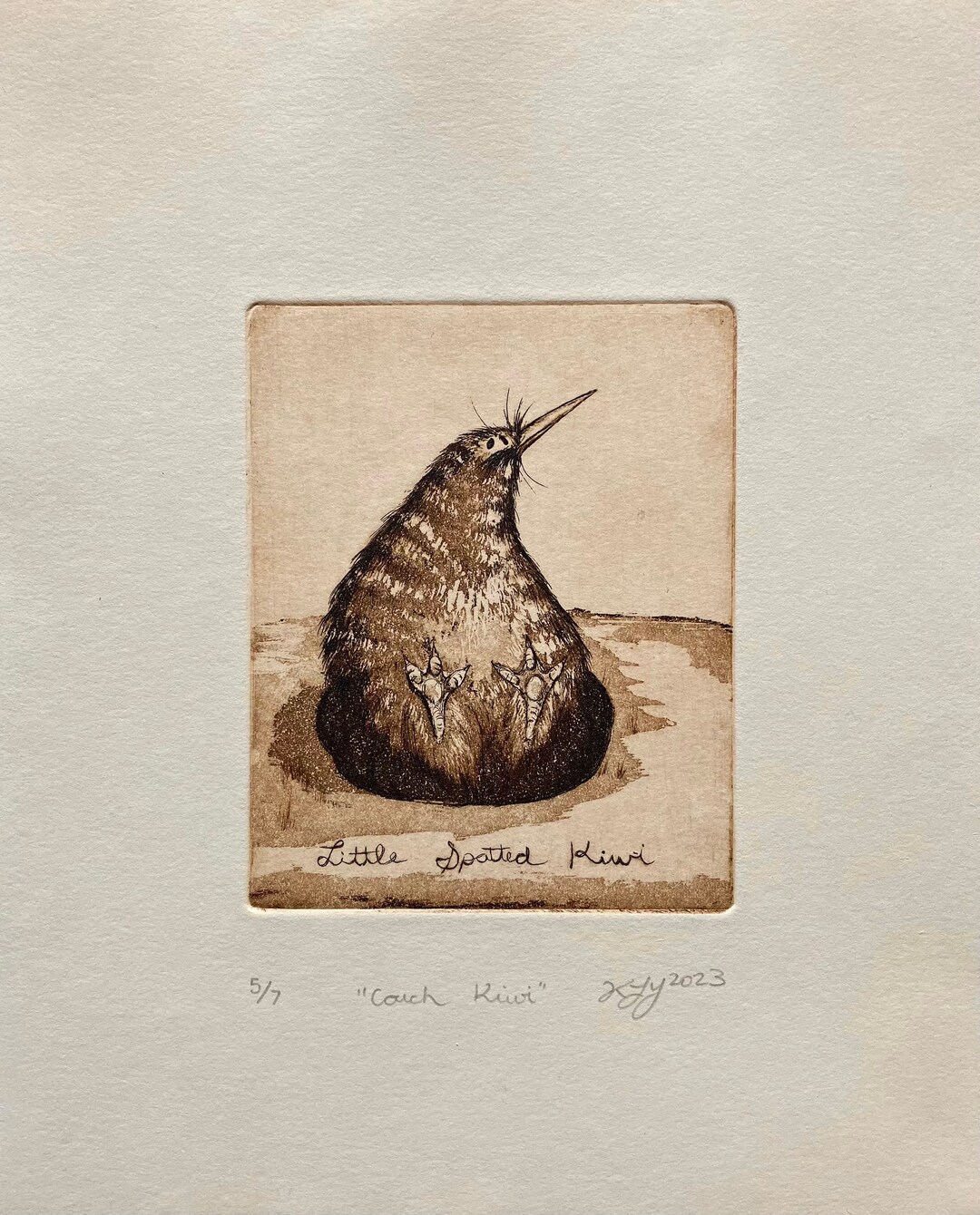 Couch Kiwi -- Copper Plate Intaglio Print -- Fine Art - Etsy