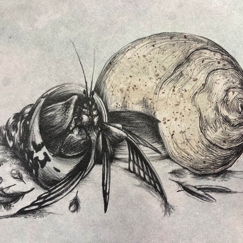 Chine Colle - Etsy