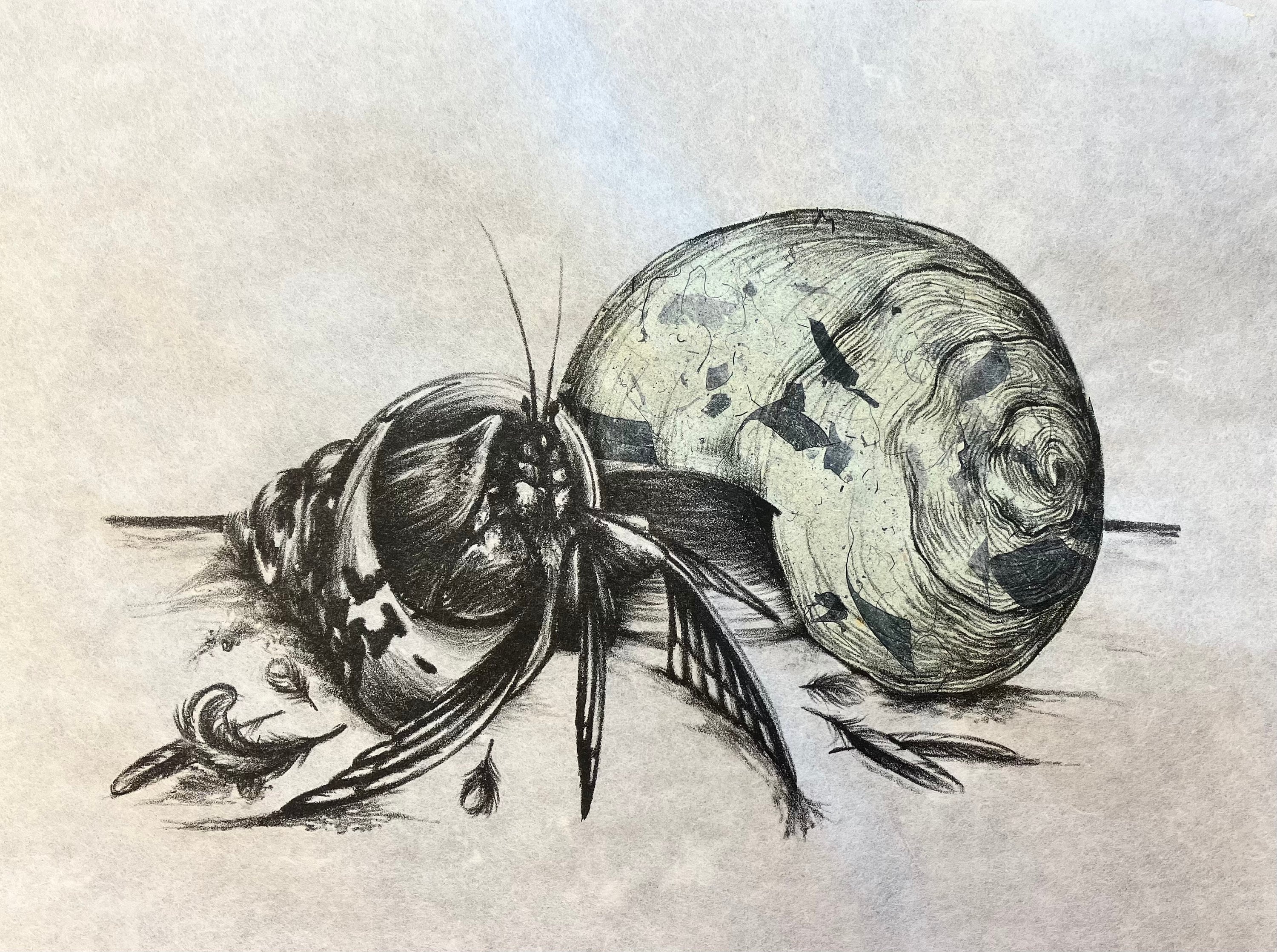 Hermit Crab and Shell -- Stone Litho and Chine Colle Print -- Fine Art ...