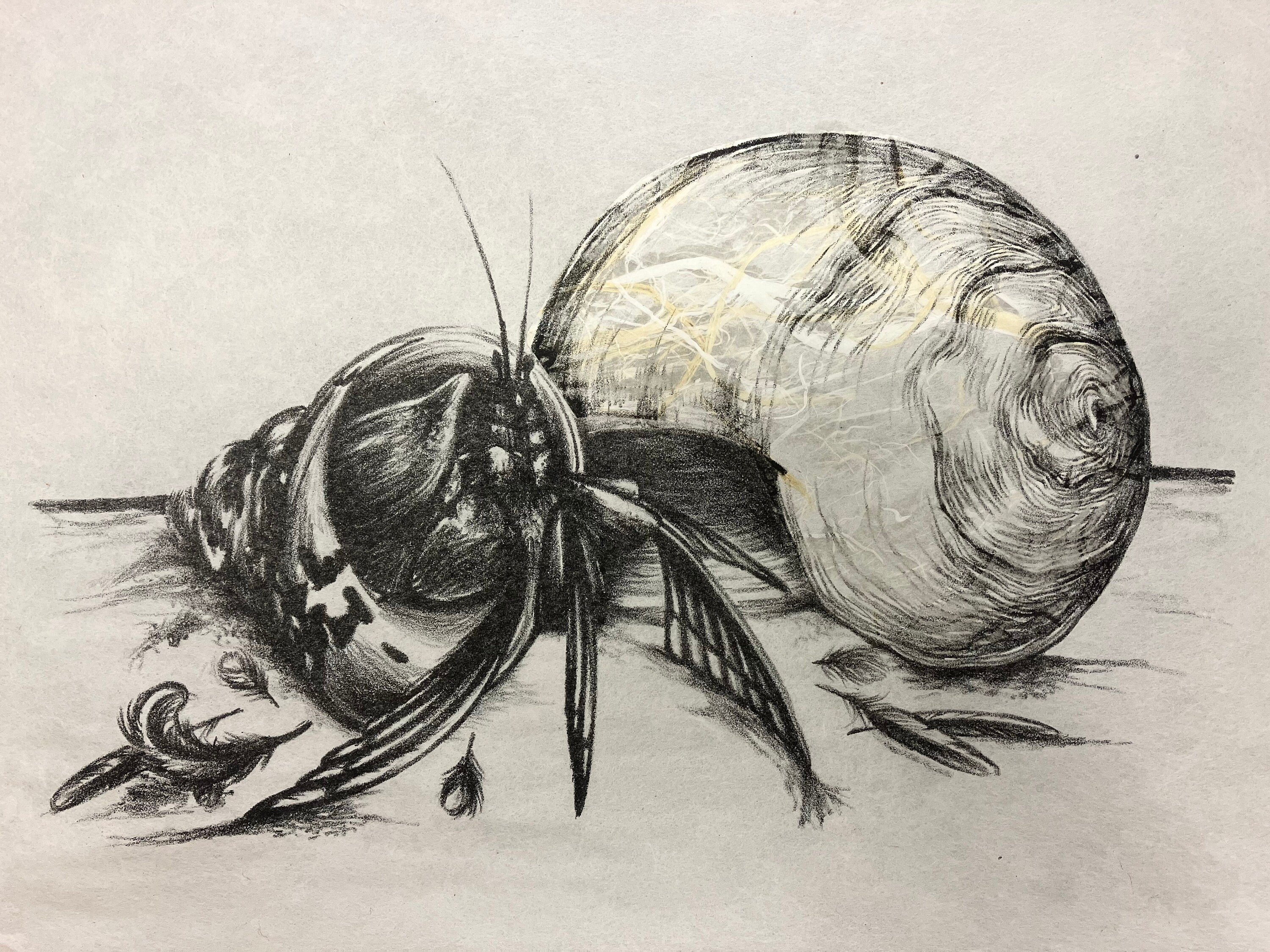 Hermit Crab and Shell -- Stone Litho and Chine Colle Print -- Fine Art ...