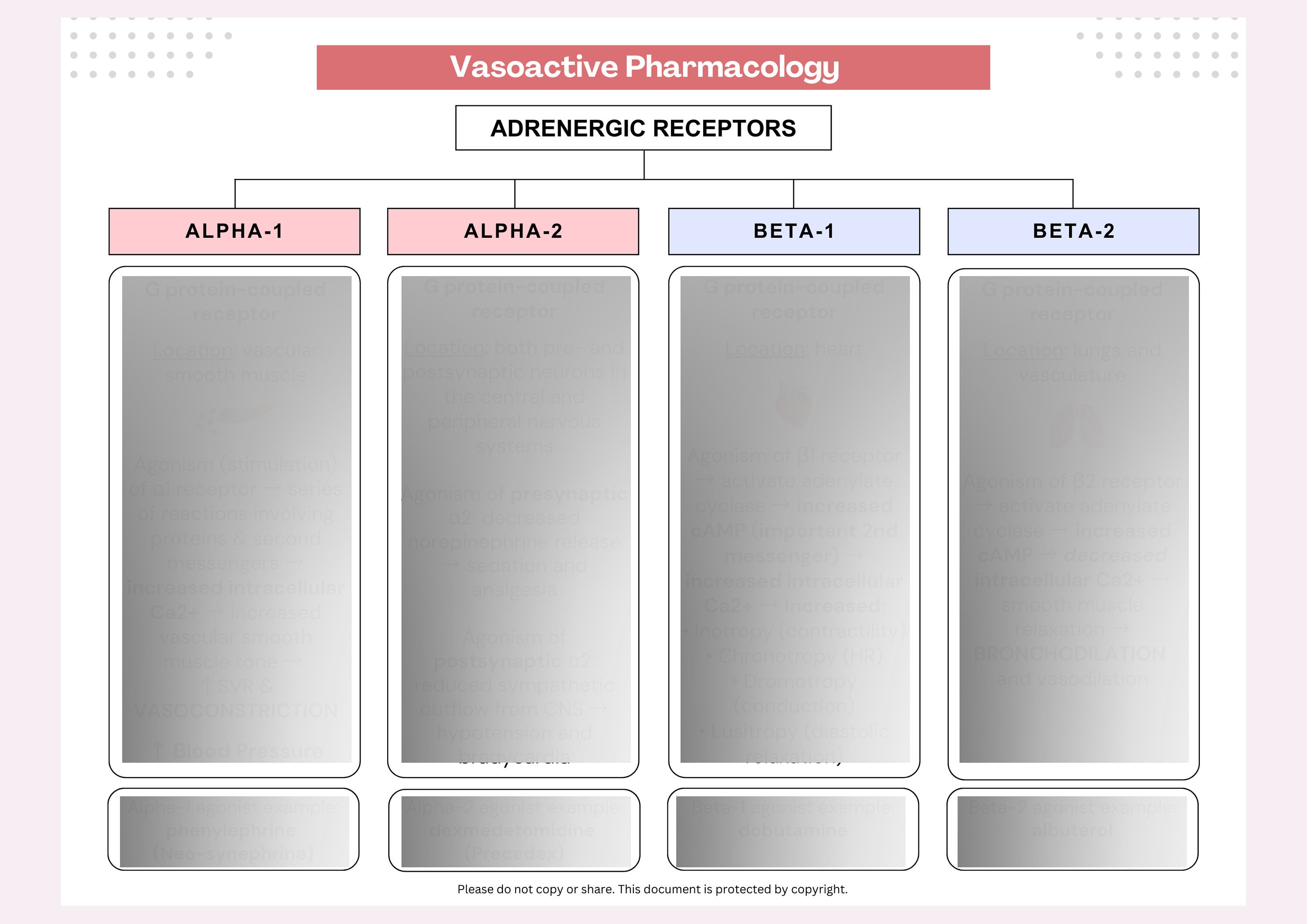 CRNA School Prep Clinical Interview Questions: Vasoactive Drugs - Etsy