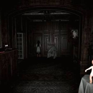 Pacify multiplayer Digital PC Game - Etsy