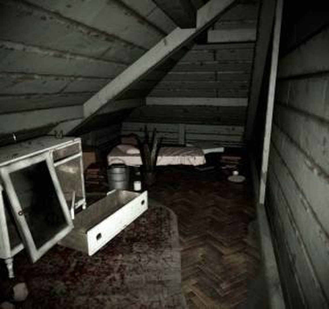 Pacify multiplayer Digital PC Game - Etsy