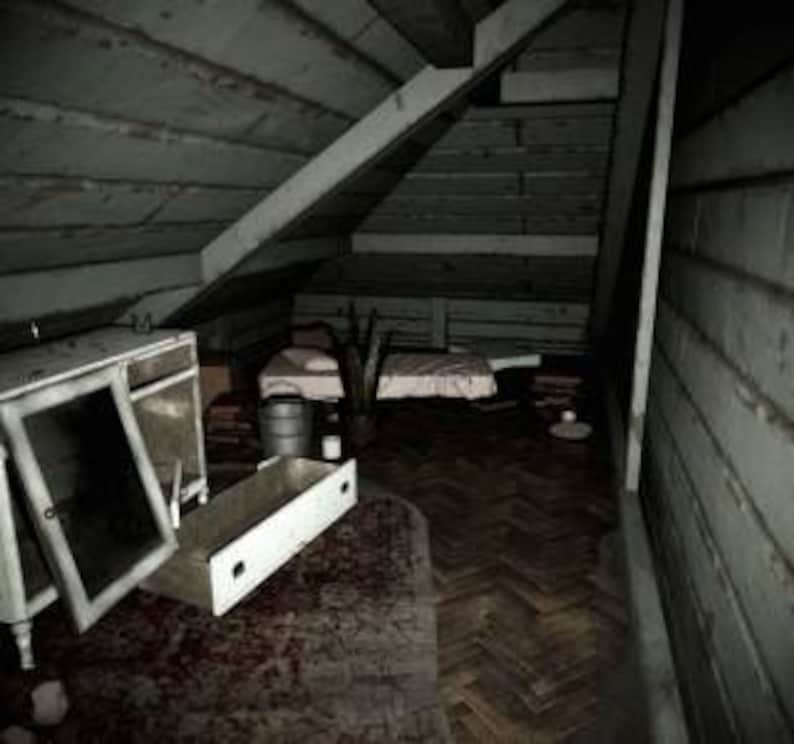 Pacify multiplayer Digital PC Game - Etsy