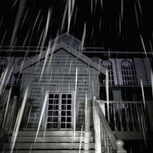 Pacify multiplayer Digital PC Game - Etsy