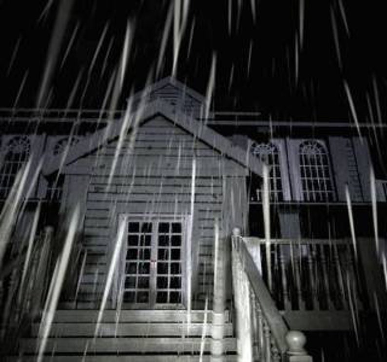 Pacify multiplayer Digital PC Game - Etsy