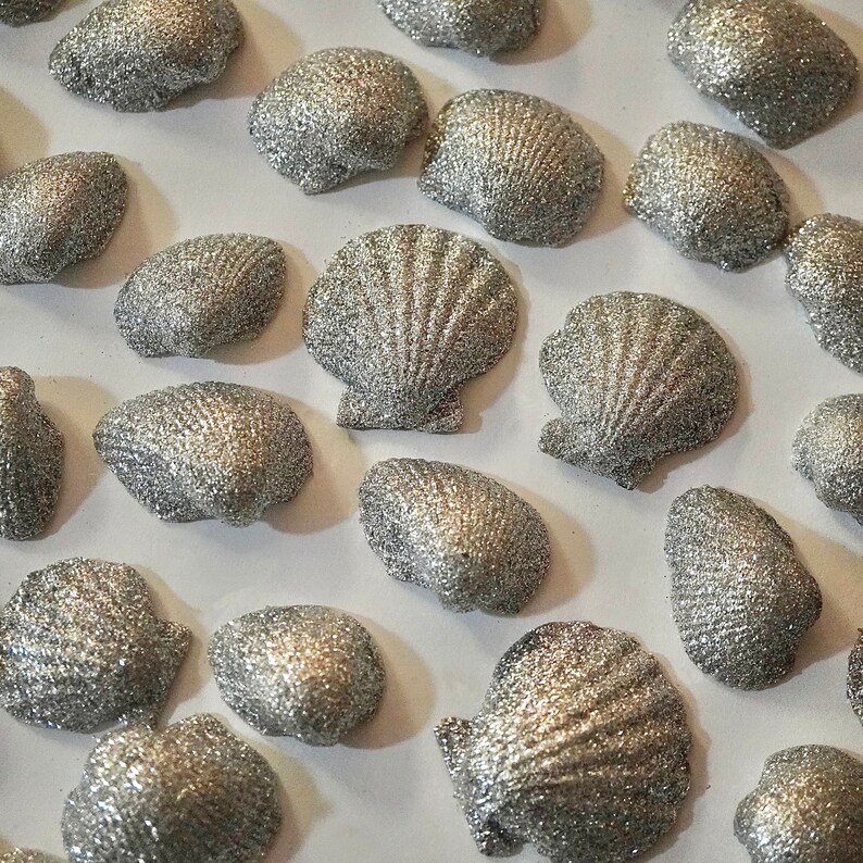 SHINY SILVER SEASHELLS Mixed Scallop Cockle Sparkling Ocean Shells Luxury Beach Home Decor ...