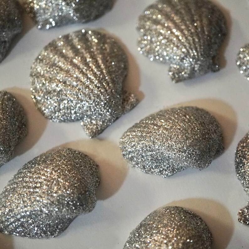 SHINY SILVER SEASHELLS Mixed Scallop Cockle Sparkling Ocean Shells Luxury Beach Home Decor ...