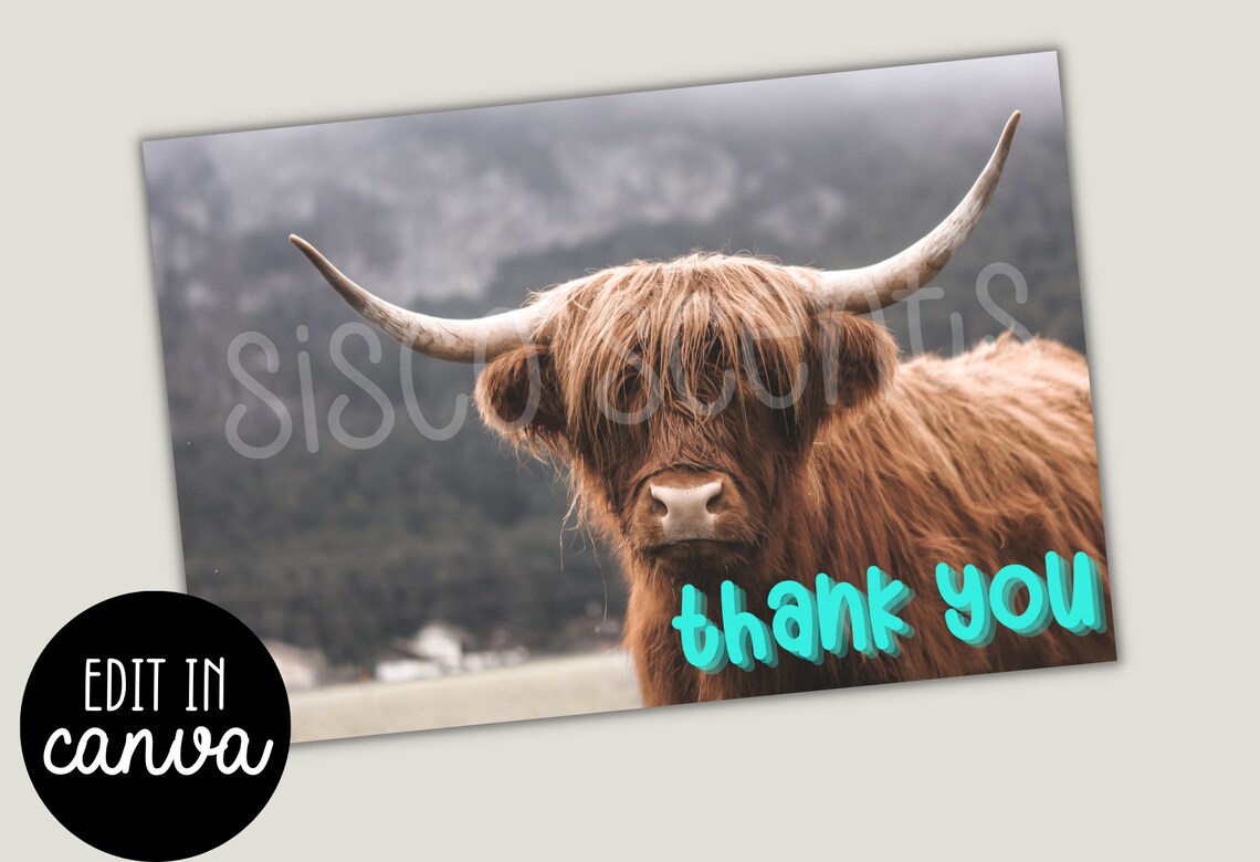 DIY Highland Cow Thank You Cards, Edit in Canva, Highland Cow, Small ...