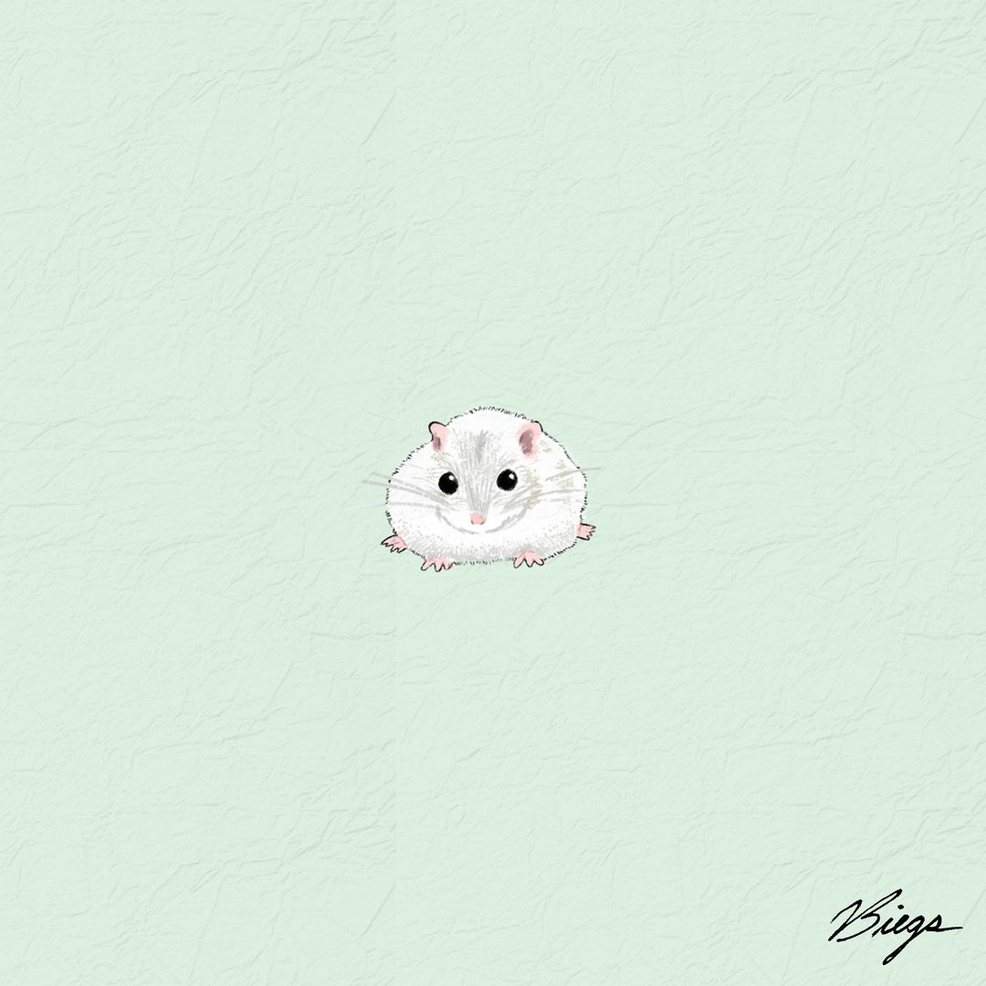 Cartoon Hamster Chilling Art Print Framed Poster Thin - Etsy