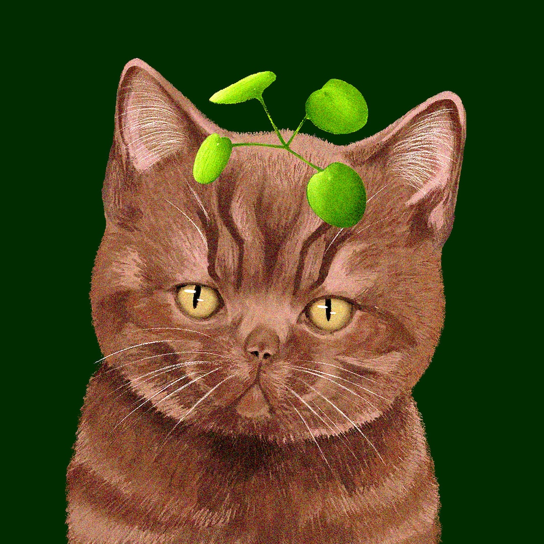 Elemental Kitty Earth Art Print - Etsy