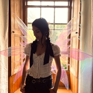 Adult Iridescent Fairy Wings Zena Style - Etsy