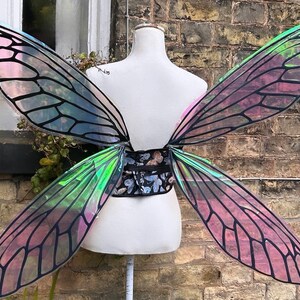 Dragonfly Fairy Wings - Etsy