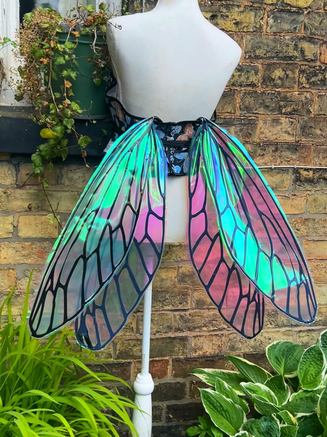 Dragonfly Fairy Wings - Etsy