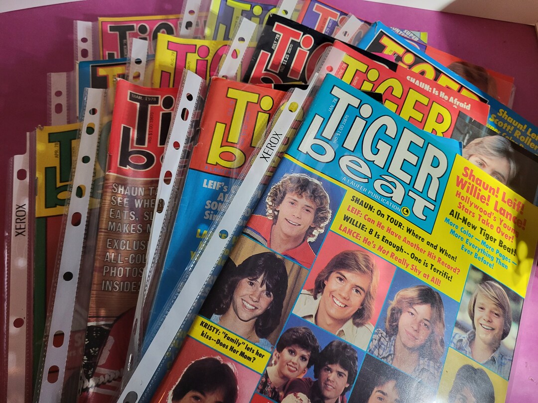Tiger Beat '78 - Etsy
