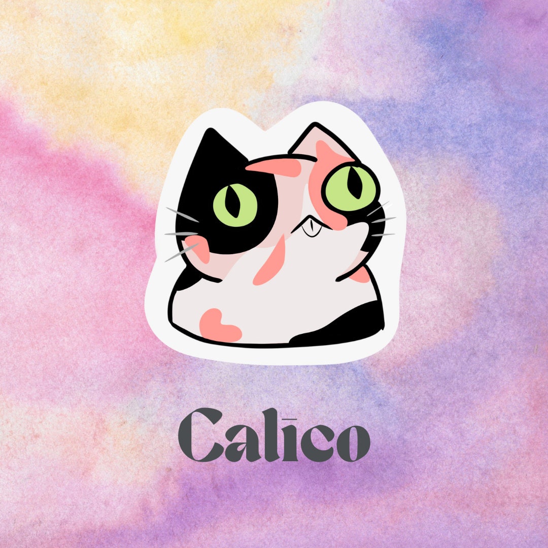 Derpy Cat Sticker - Etsy
