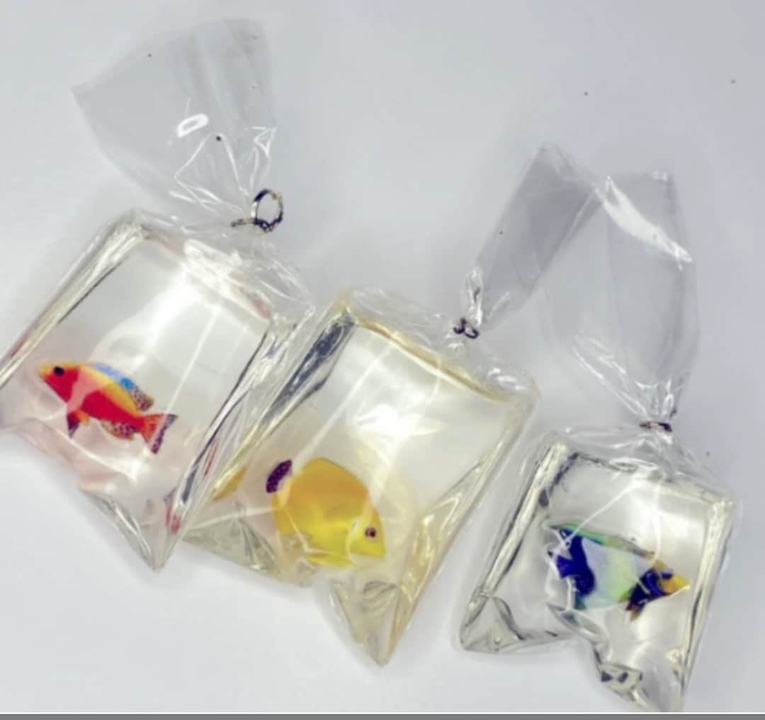 Fish in Bag Resin Charms 3 Pieces - Etsy