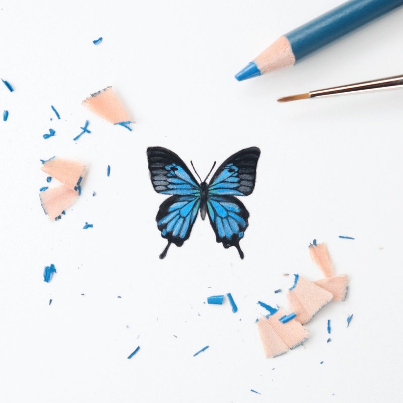 Miniature Butterfly - Etsy