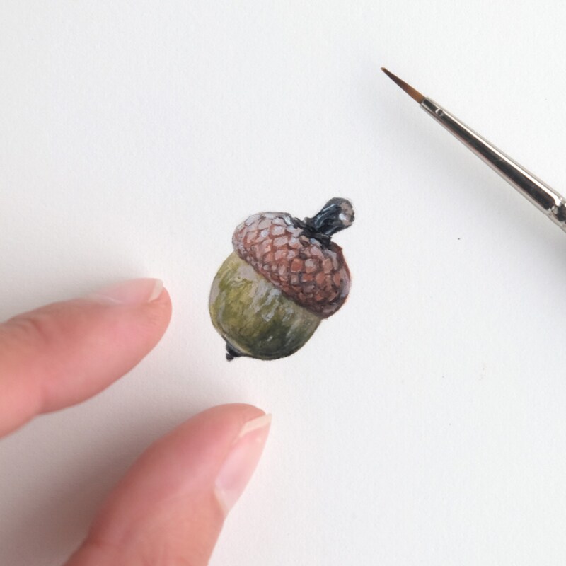 Acorn Watercolor - Etsy