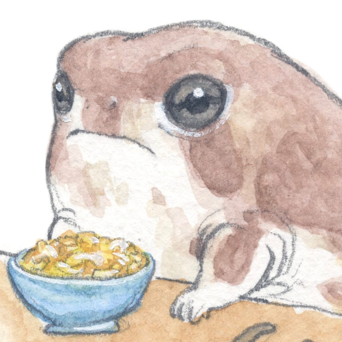 Grumpy Rain Frog Eating Mac and Cheese PRINT - Cozy Watercolor Art - Etsy