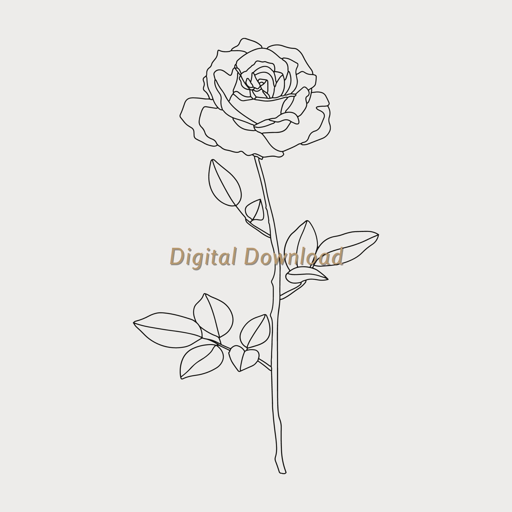Rose Png Clip Art, Minimal Rose Png, White Rose Png, Rose Clipart ...