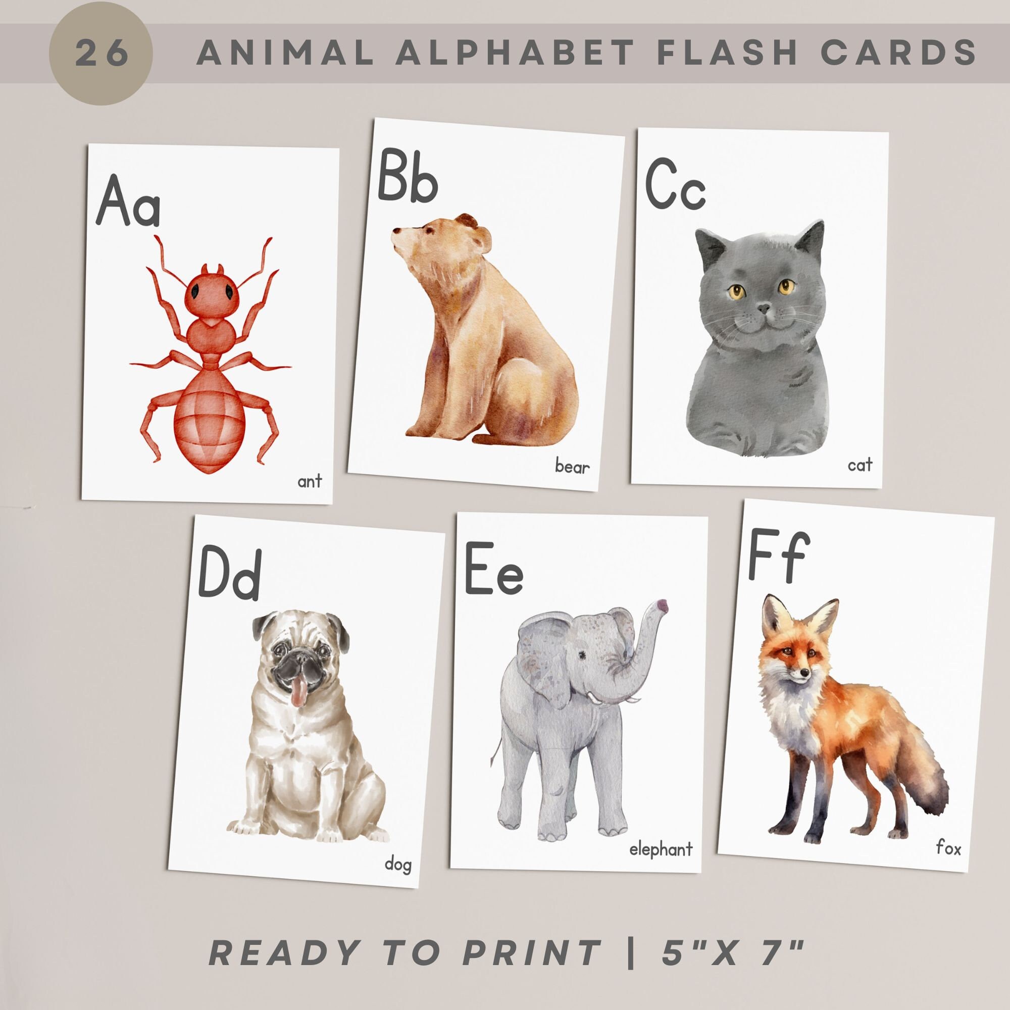 Printable Animal Watercolor ABC Flash Cards Educational - Etsy