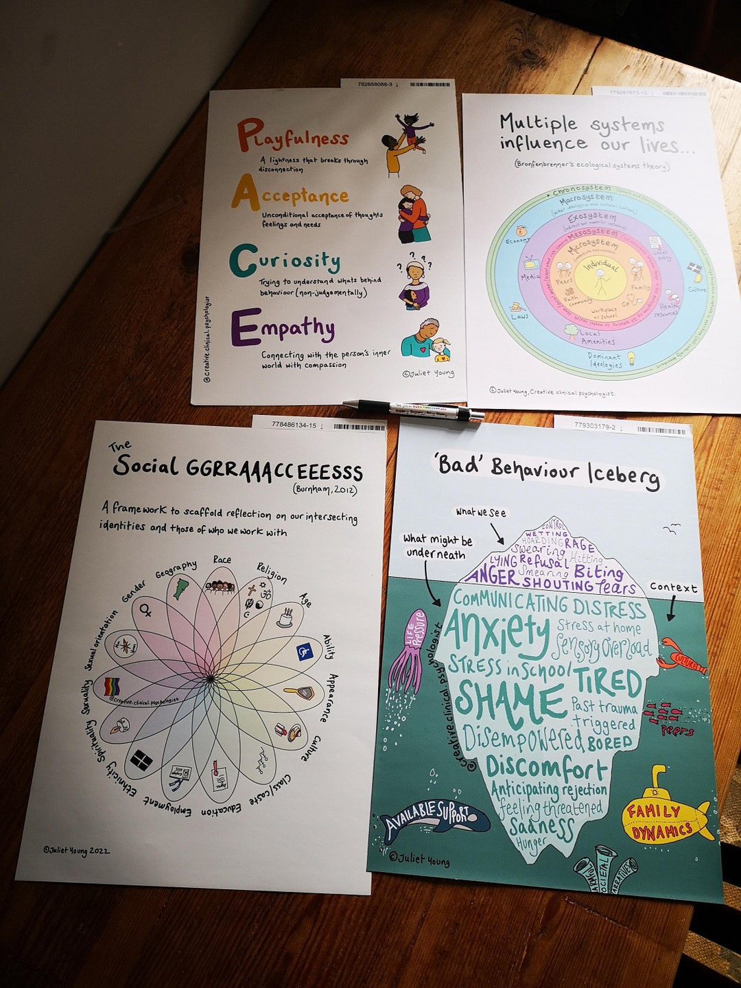 Set of 4 A3 Posters (PACE, Behaviour, GRACES and Systems) Save 30% on ...