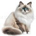 Enchanting Cat Clipart - 10 High-quality Jpgs for Digital Download ...