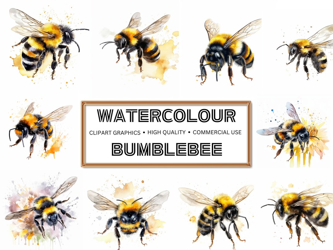 Bumblebee Clipart: 16 High Quality Pngs for Card Making, Mixed Media ...
