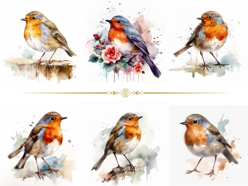 Premium Robin Clipart: 24 High-quality Pngs for Digital Download Ideal ...