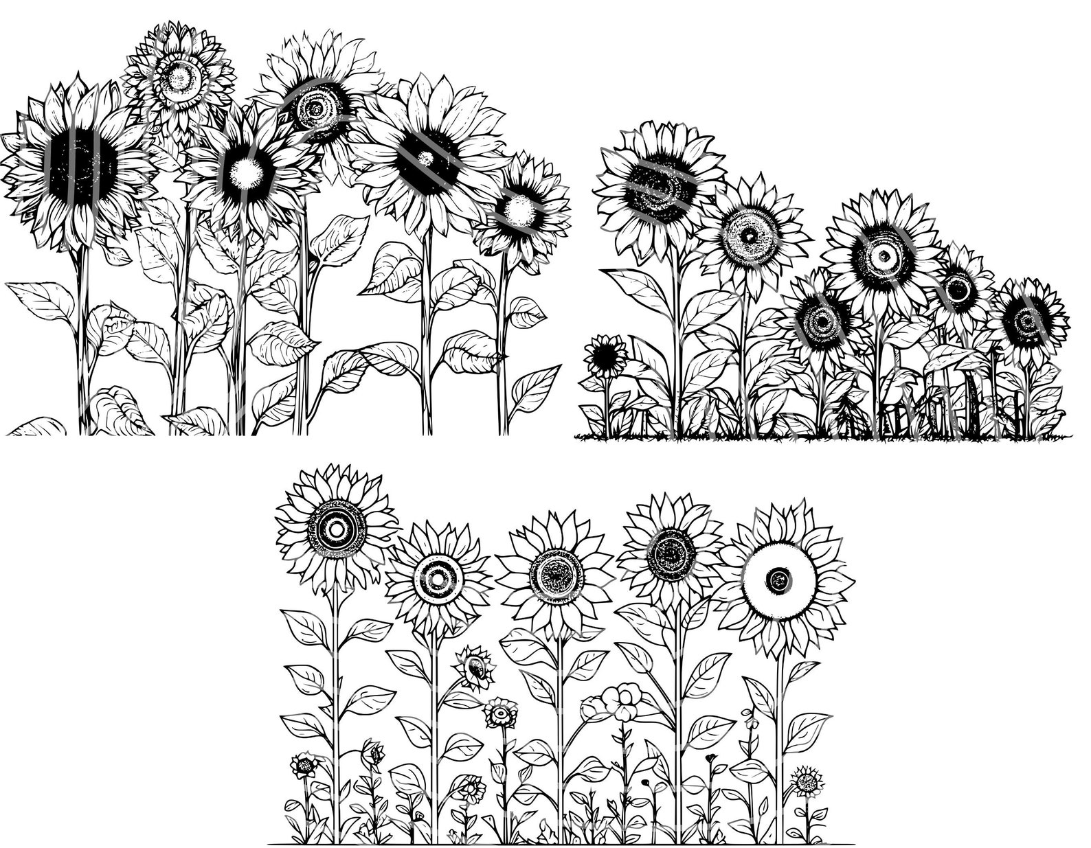 20 Sunflower Row SVG and PNG Bundle - Sunflower Black and White Svg ...