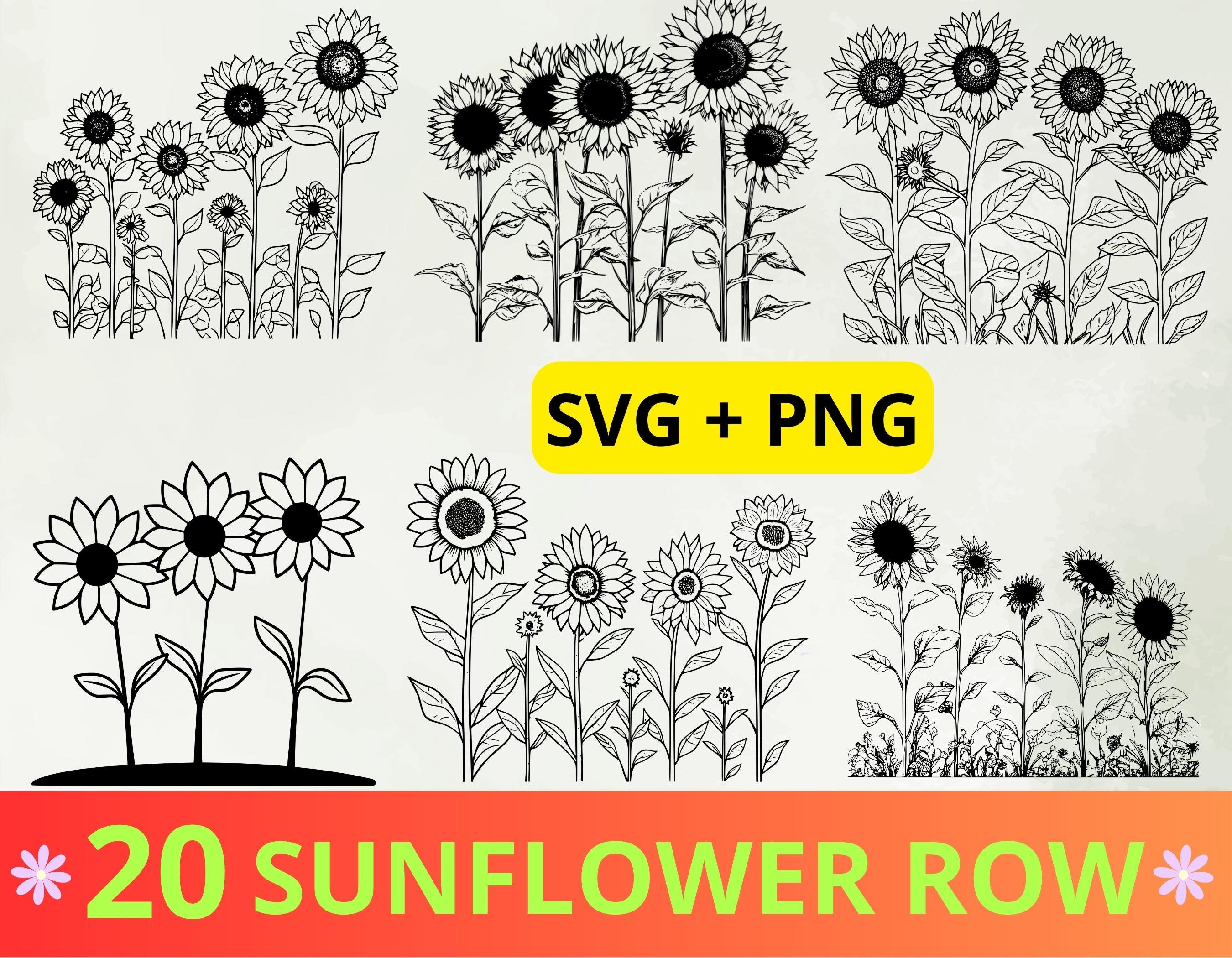 20 Sunflower Row SVG and PNG Bundle - Sunflower Black and White Svg ...