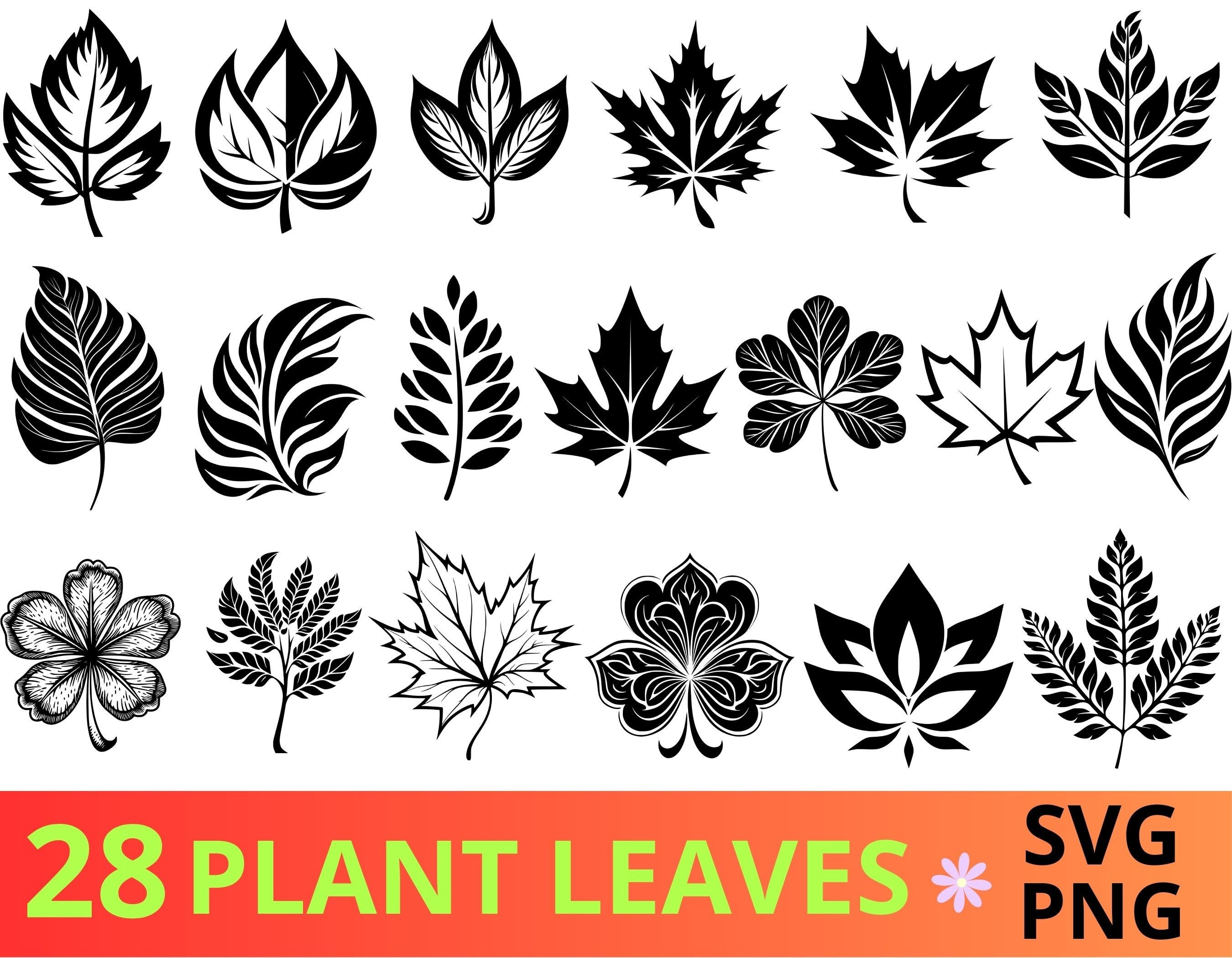 Plant Leaves SVG and PNG Bundle - Fall Leaves Svg - Black and White ...